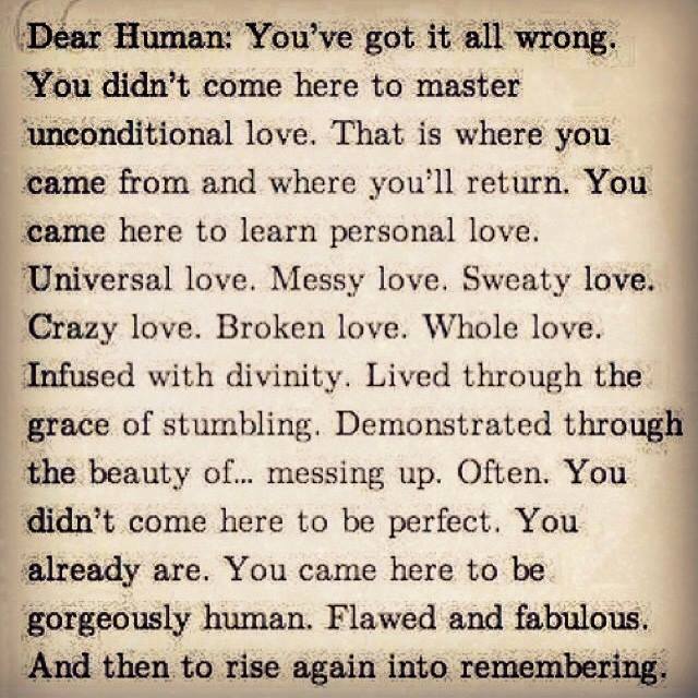 Dear Human – Another Perspective to Ponder