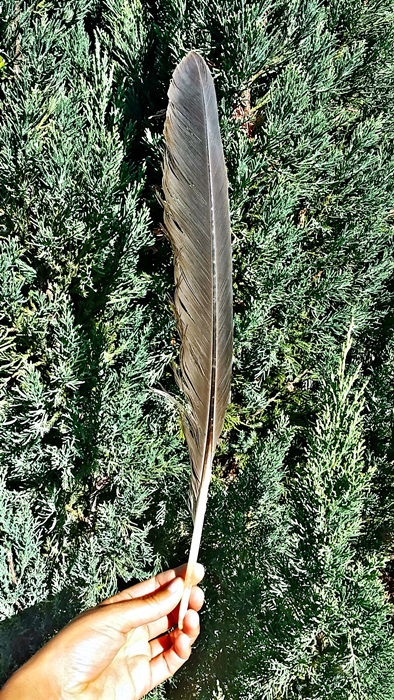 Nature’s Messages – Autumn Weekend at the Beach | Tania Marie