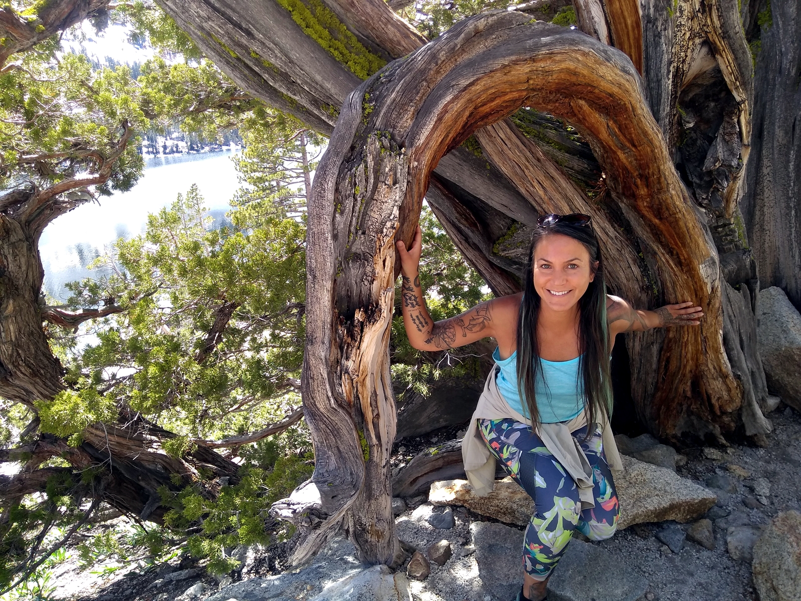 Social Media Portal | Tania Marie