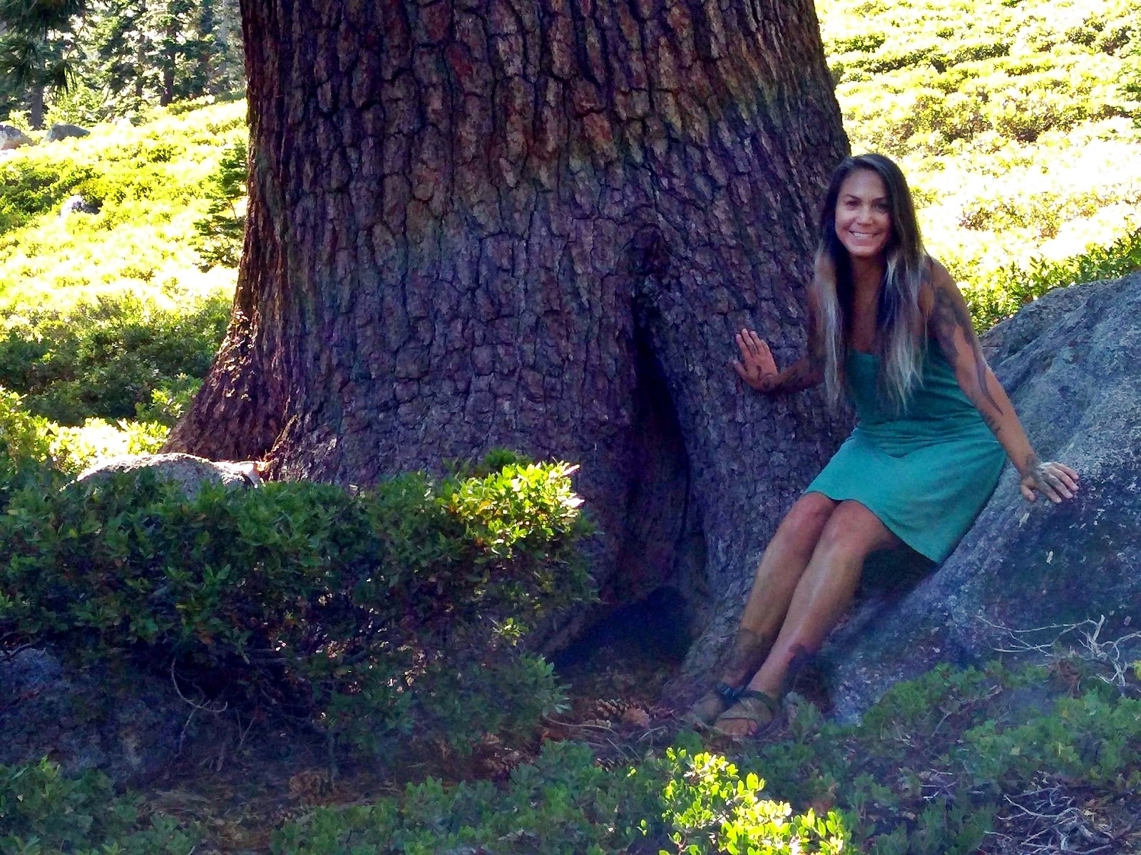 Social Media Portal | Tania Marie