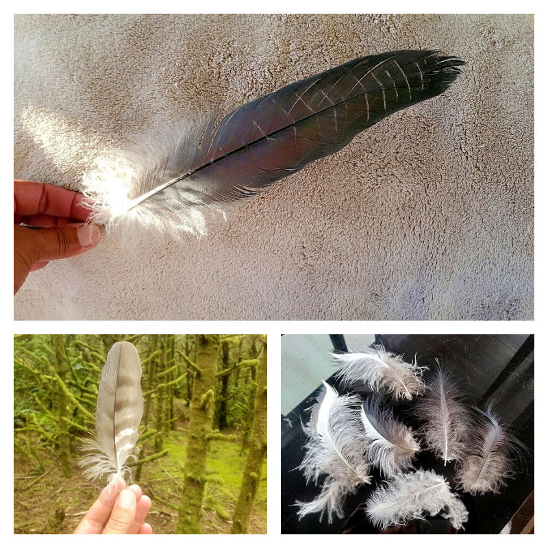 feather-collage | Tania Marie